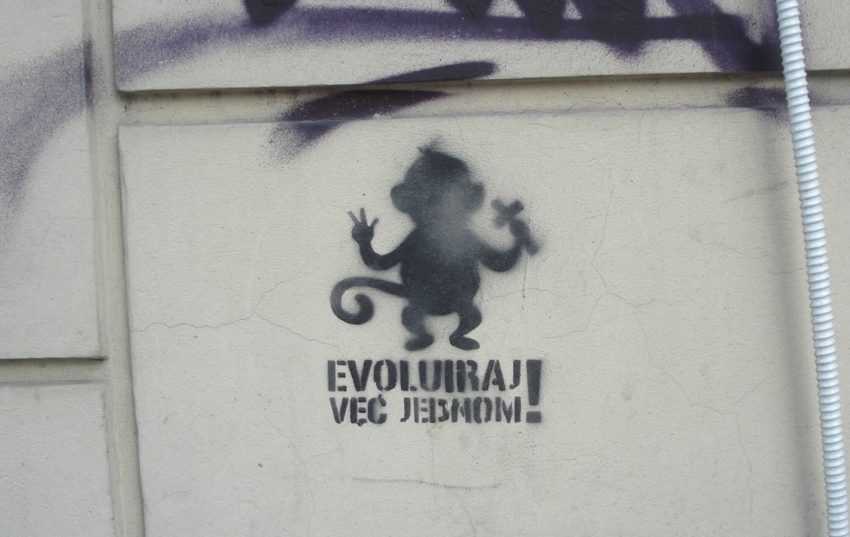 Autošovinizam protiv dijaloga - Opcija